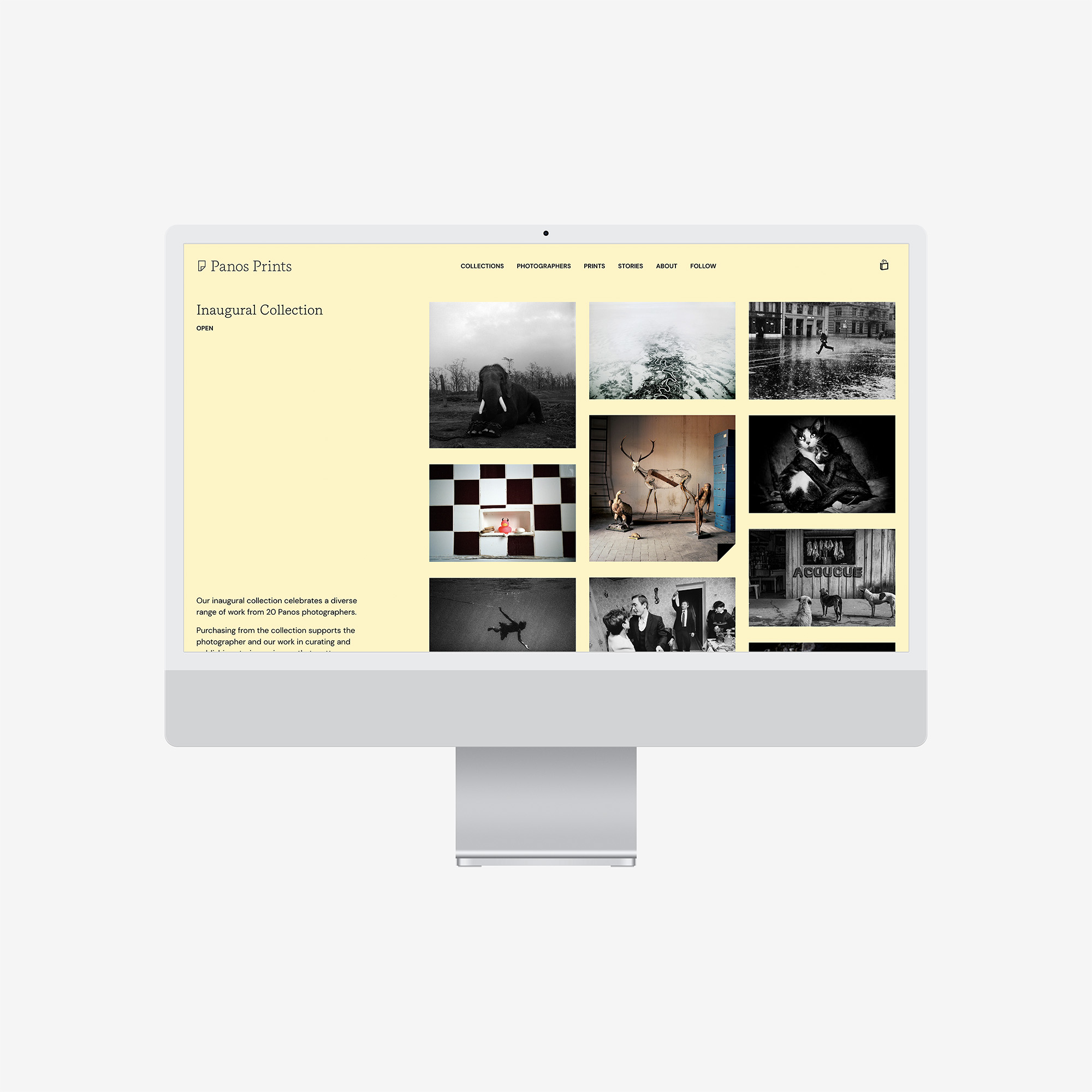 Panos Prints - Need Thinking.