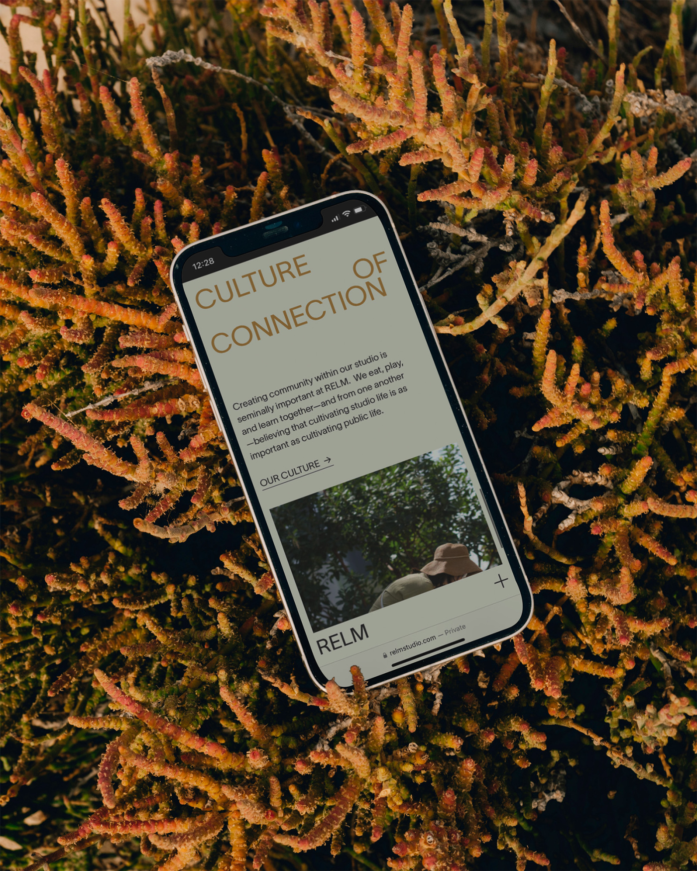 RELM - Need Thinking.